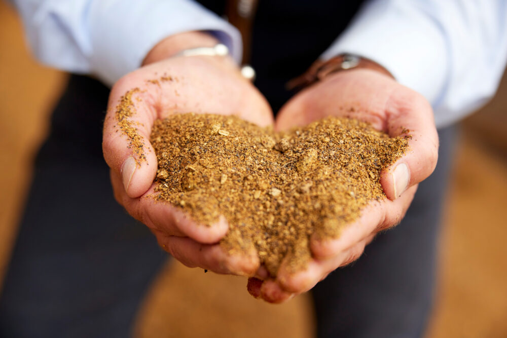 KW Feeds | UK Leader in Animal & Livestock Feed