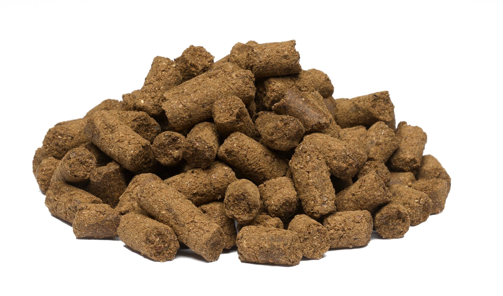 Ensus Distillers Meal | High Energy Protein Feed